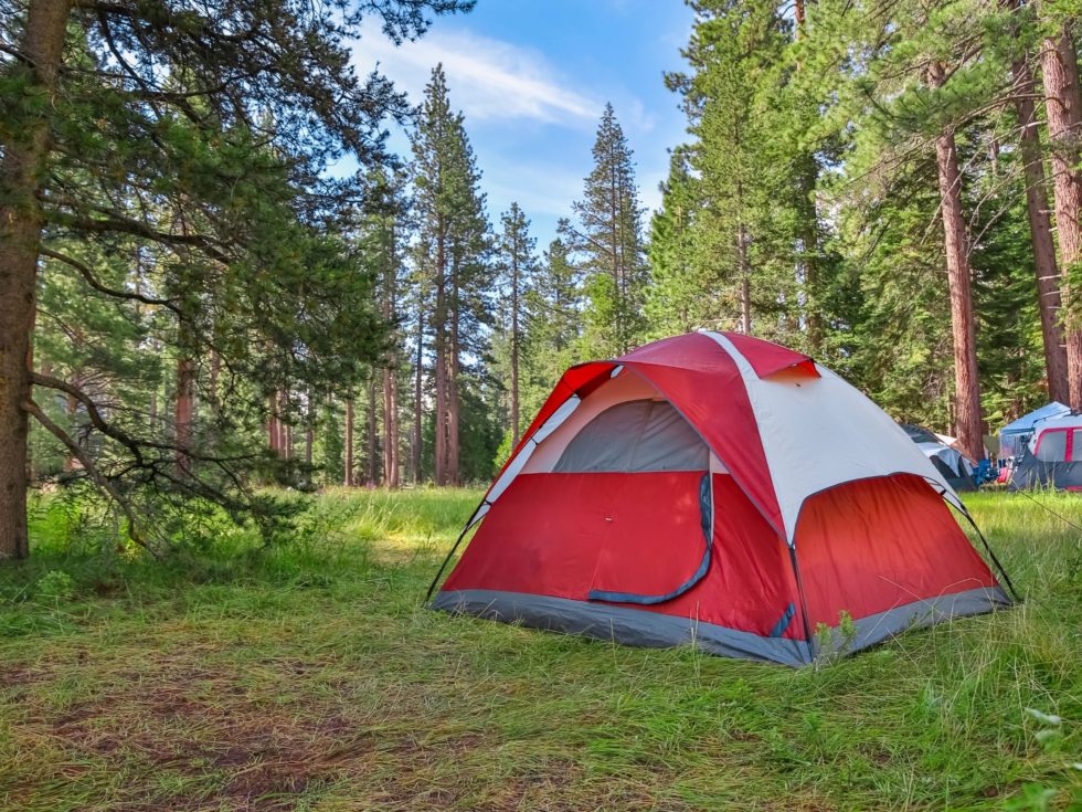 Campfires and Cast Iron - Camping Recipes & Cast Iron Care